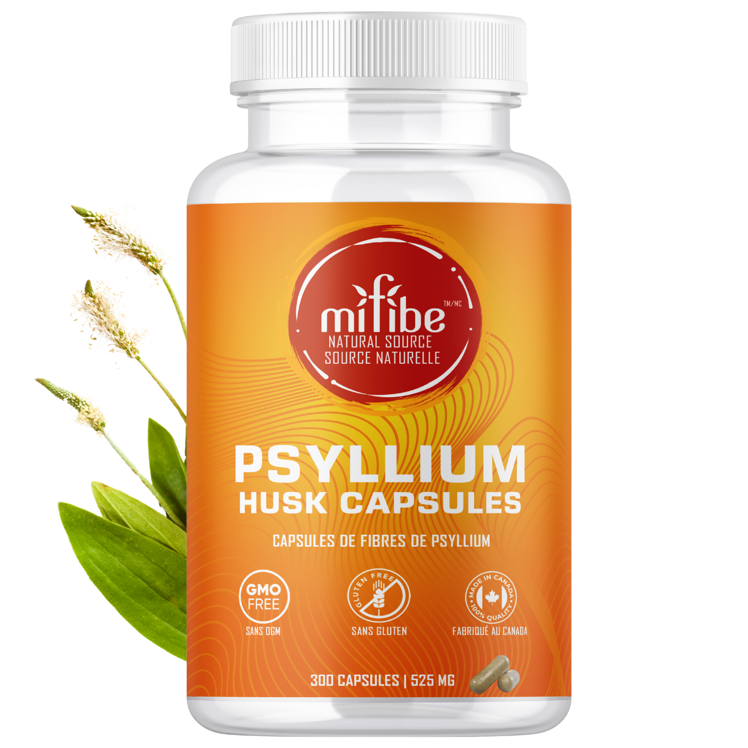 Psyllium Husk Fibre Capsules - 300 ct | mifibe 🇨🇦